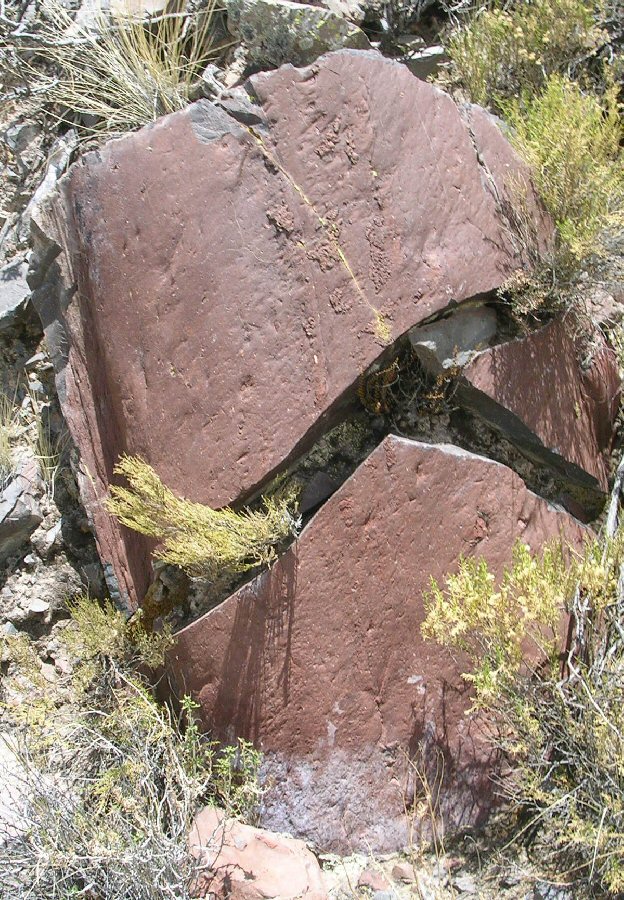 Atlantis Illustrated